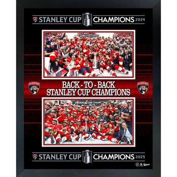 Florida Panthers 2025 Stanley Cup Champions 18x22 Back to Back Frame ...
