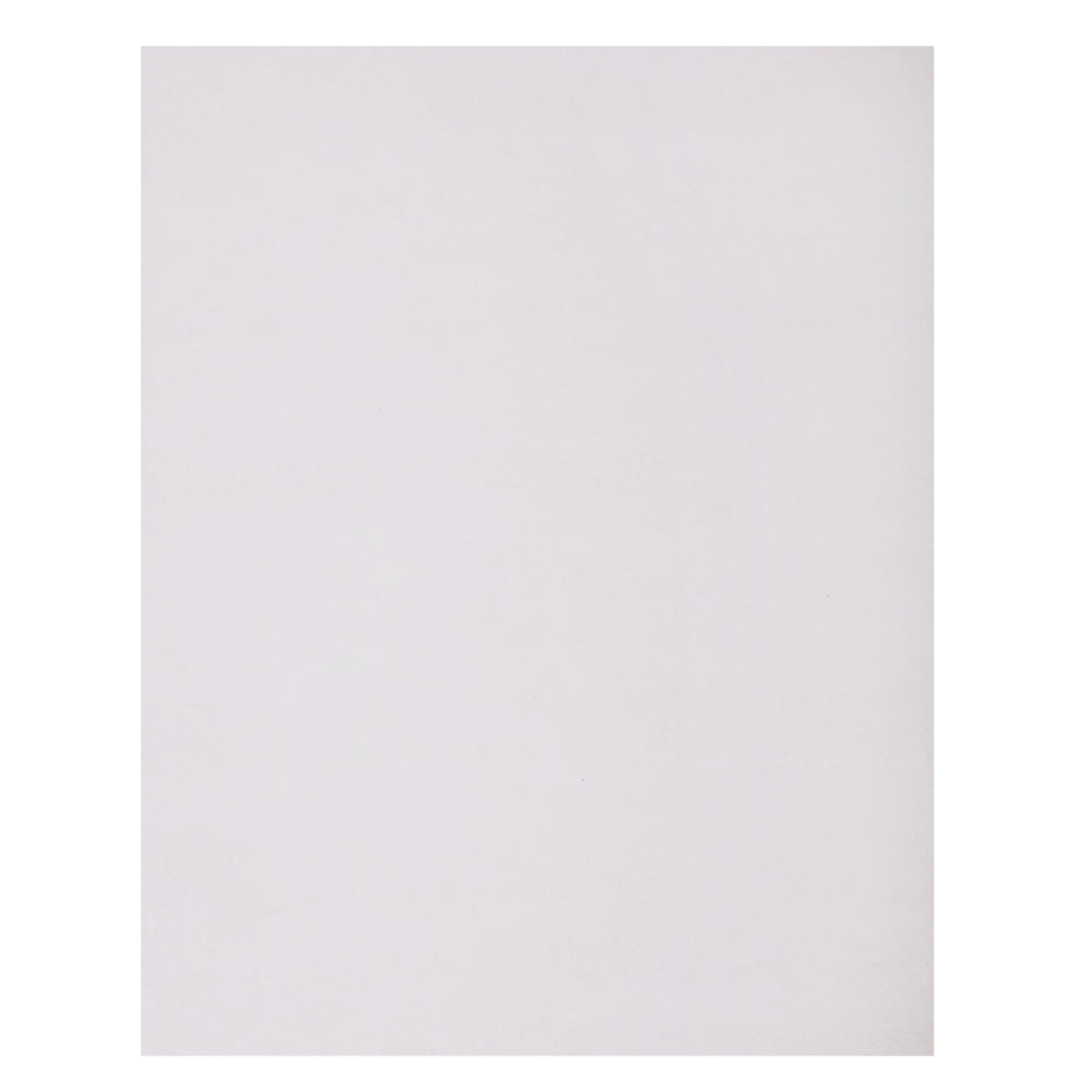 North American Paper - Carton bristol 4 épaisseurs, 22 po x 28 po, 48 ...